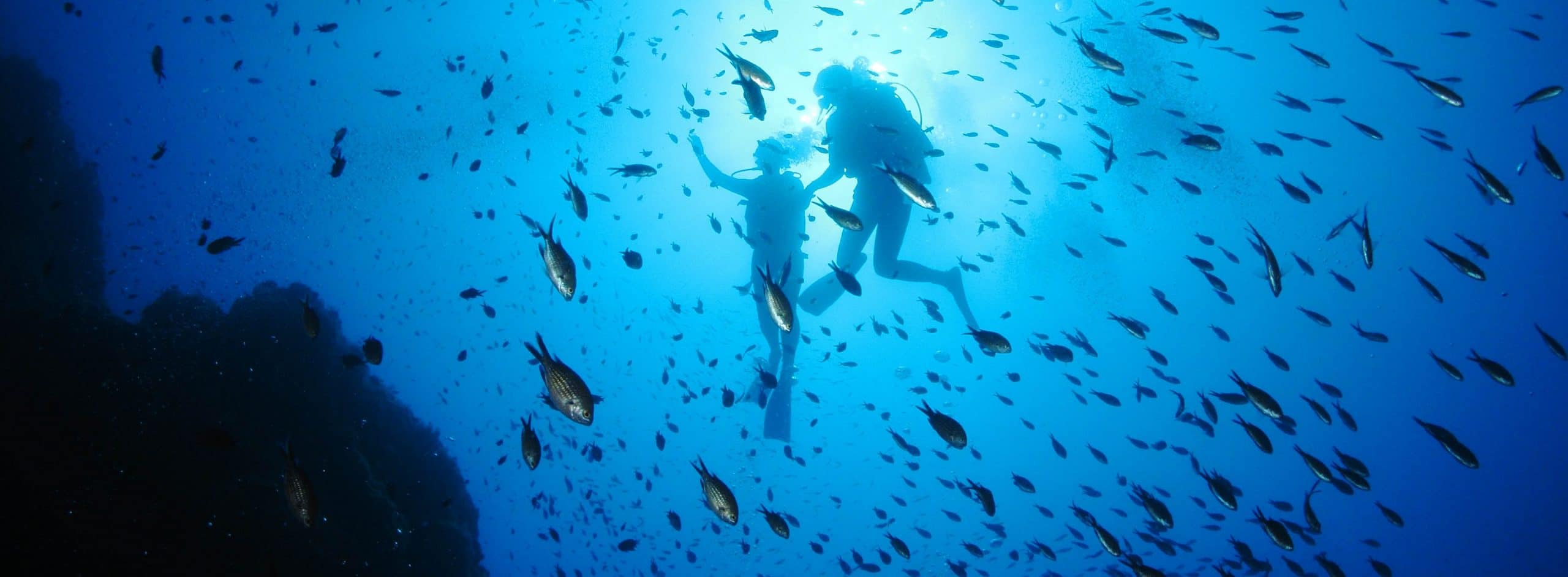 Niveau 2 plongée FFESSM: Plongeur encadré à 40m, autonome à 20m